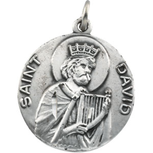Sterling Silver St. David Medal 18mm & Chain JJR41762_SS