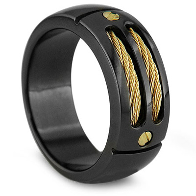 Black Titanium Ring with Double Gold Cable and Rivets R947J