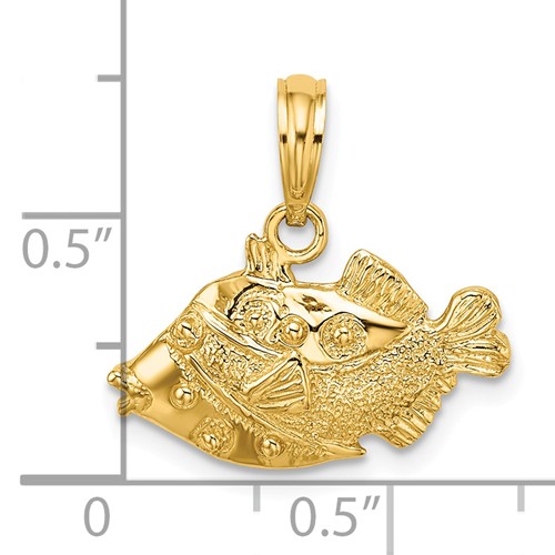 14k Yellow Gold Textured Trigger Fish Charm 3/8in K7422 | Joy Jewelers